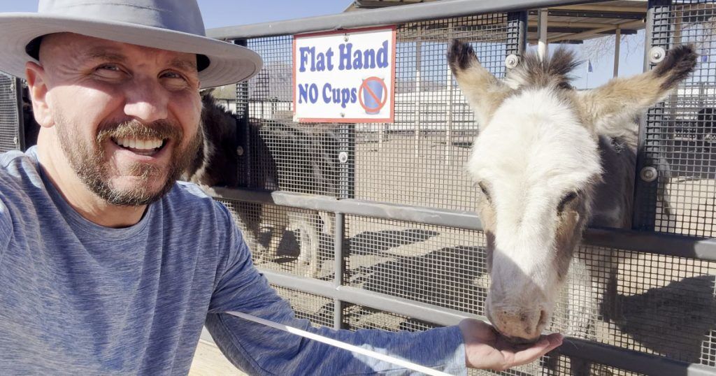 Touring the Rooster Cogburn Ostrich Ranch