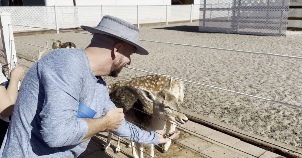 Touring the Rooster Cogburn Ostrich Ranch