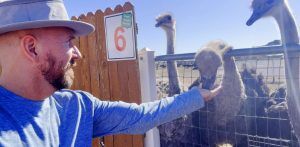 Touring the Rooster Cogburn Ostrich Ranch
