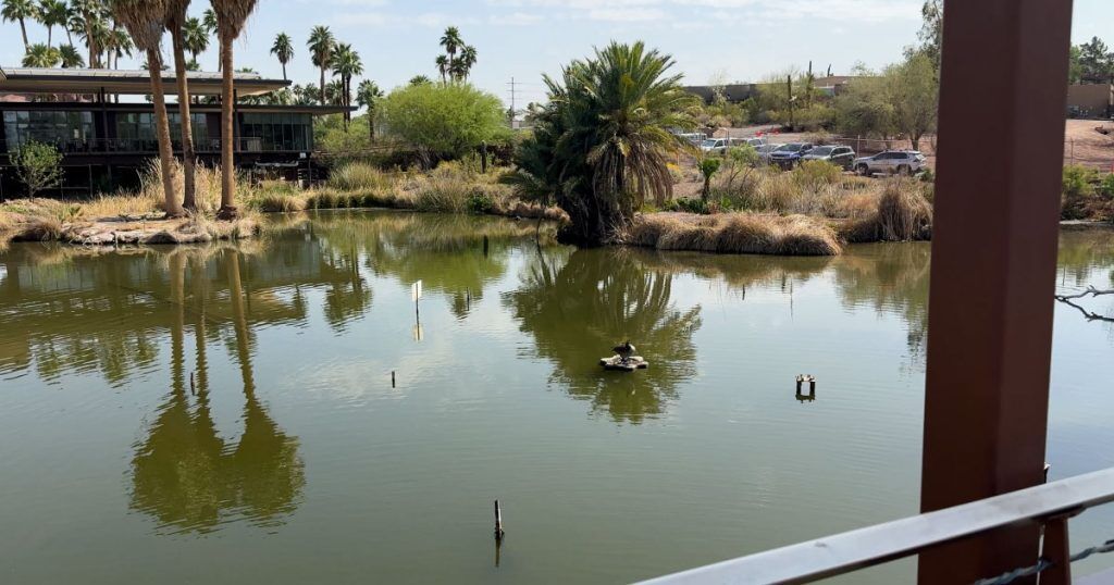 Is the Phoenix Zoo Worth $40? Tour and Review