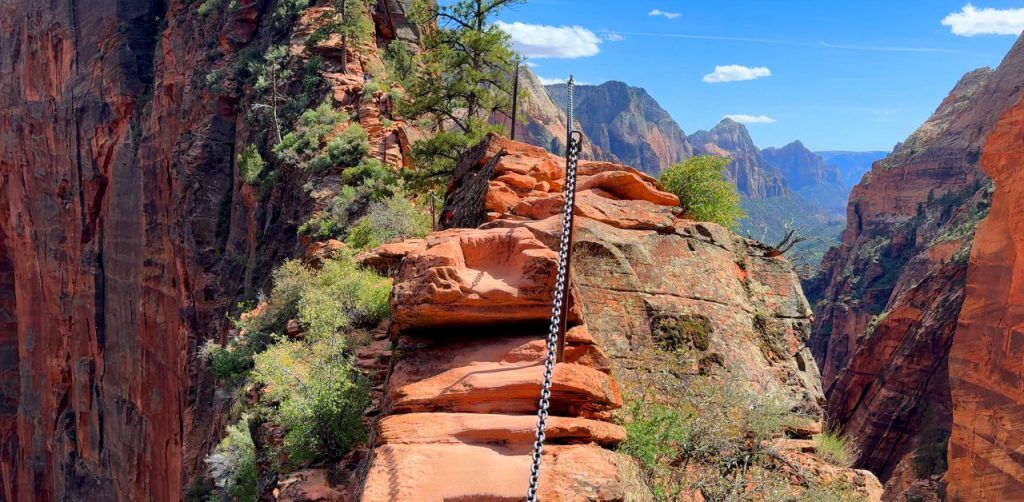 Touring the Rooster Cogburn Ostrich Ranch